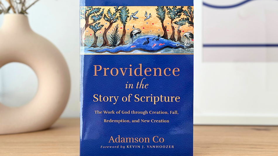 Partner Together with God: A Book Review of “Providence in the Story of ...